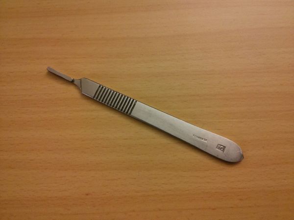 Skalpell – Stratum 0